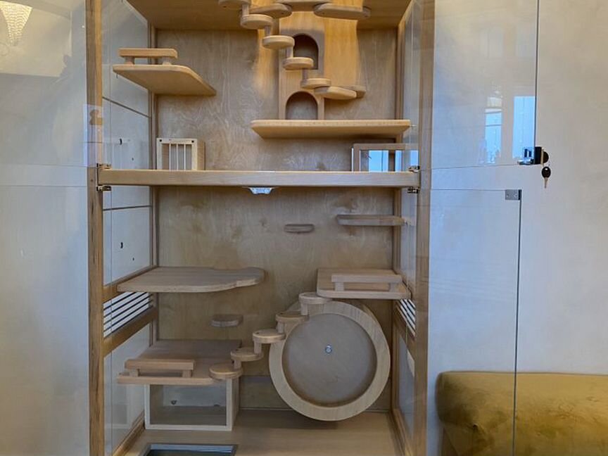 Буковая витрина для шиншиллы, Дегу