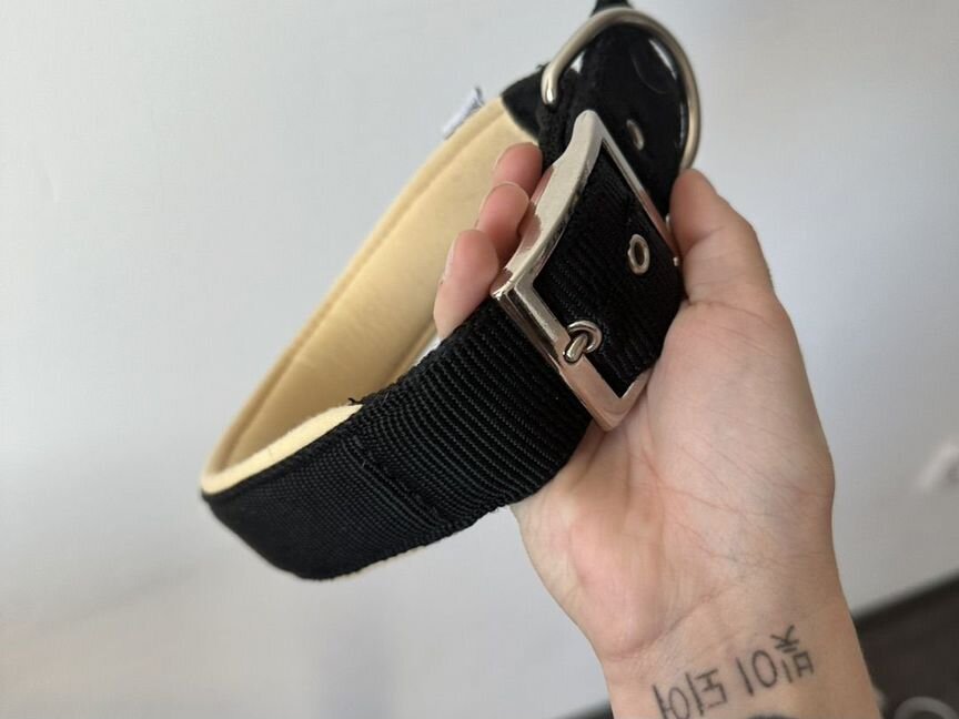 Амуниция для собак