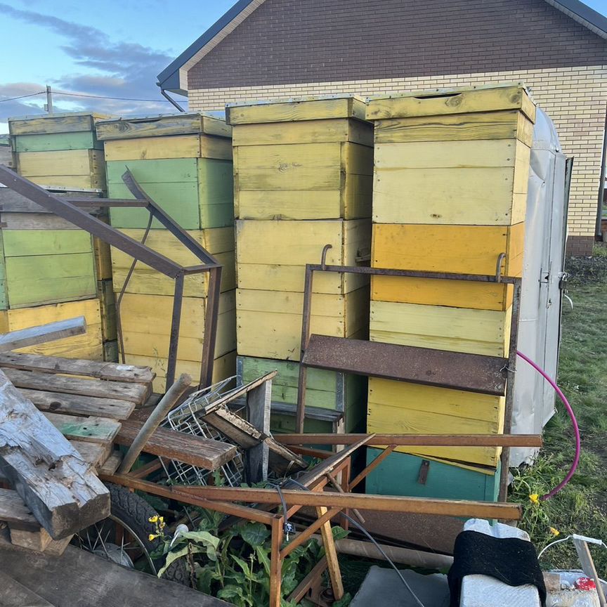 Улики для пчел