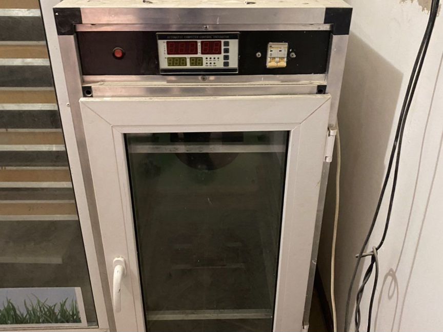 Инкубатор выводной