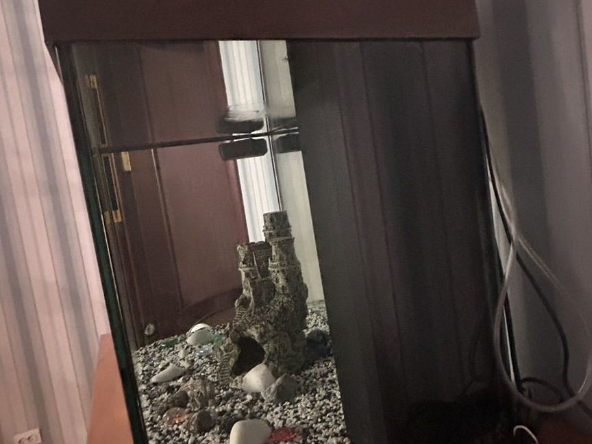 Аквариум для рыбок