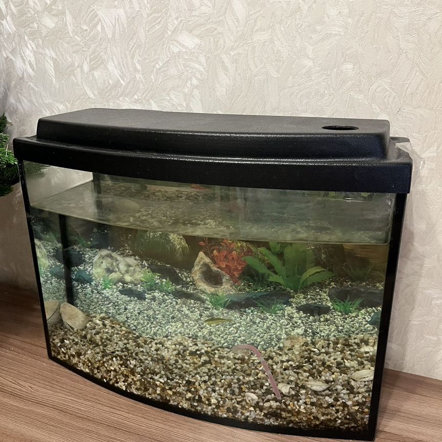 Аквариум с декором