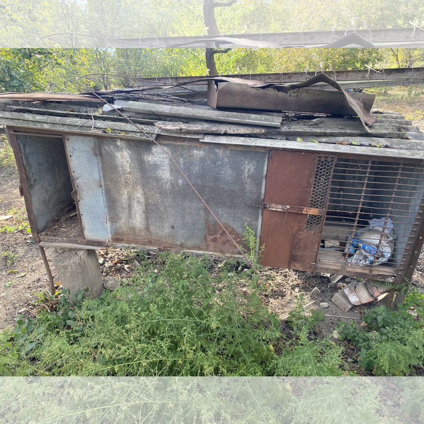 Клетки для нутрий