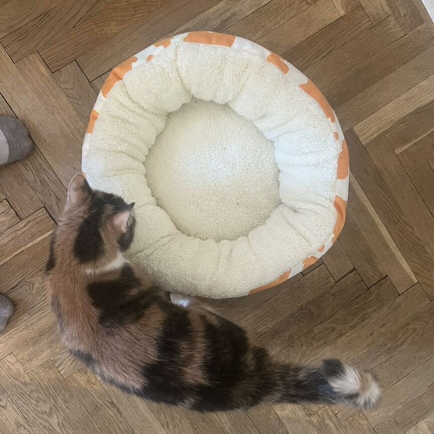 Лежанка для кошек и небольших собак