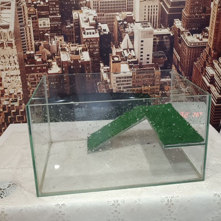 Аквариум черепашник