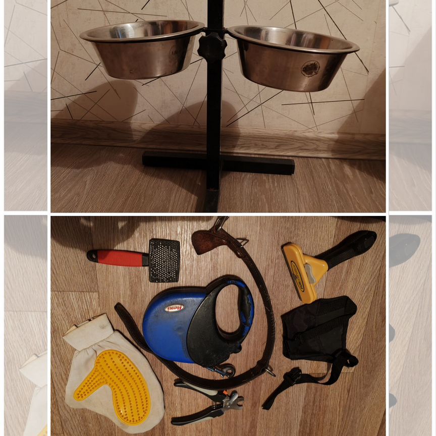 Миска и поводок для собак