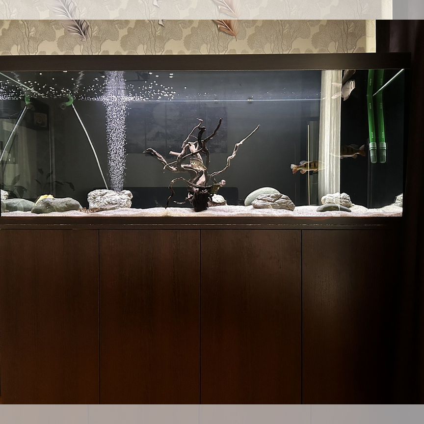 Аквариум 650 л