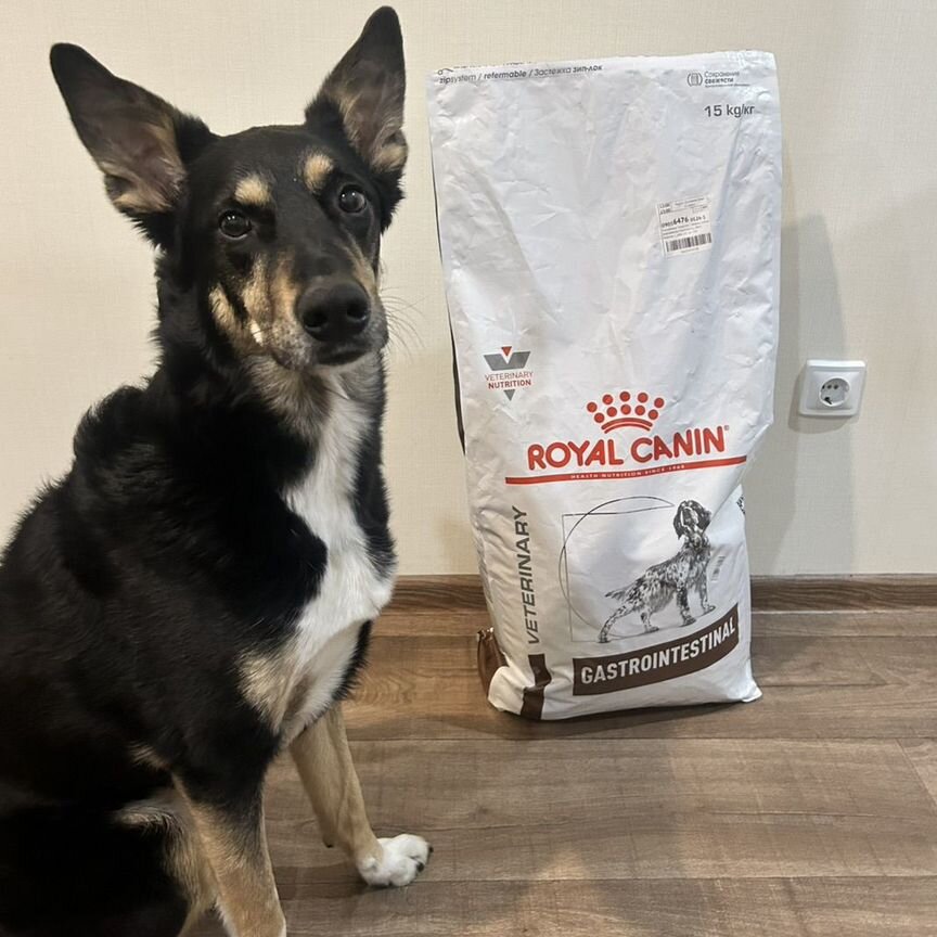 Корм для собак royal canin gastrointestinal