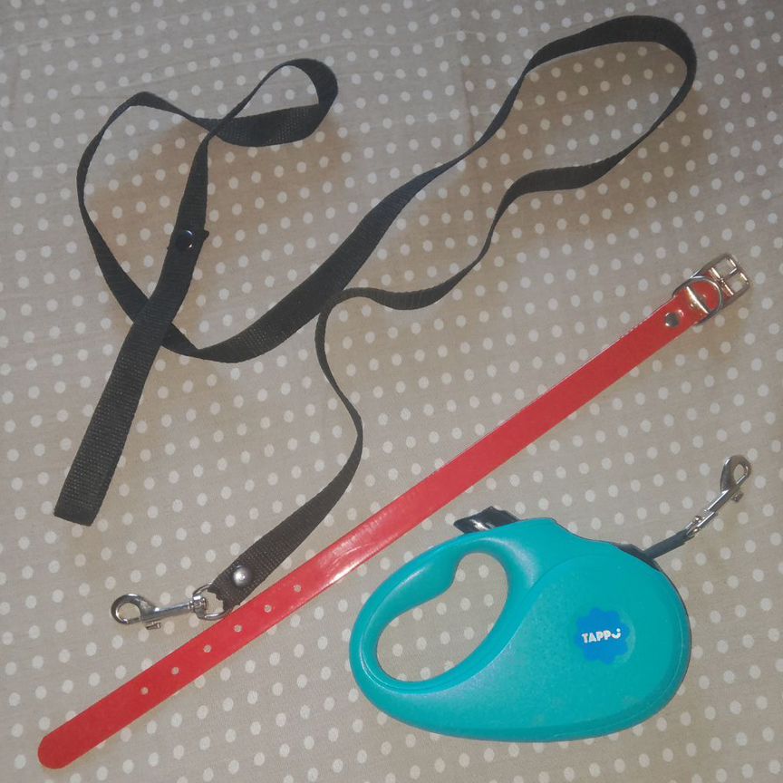 Продам шлейки и ошейник для собак