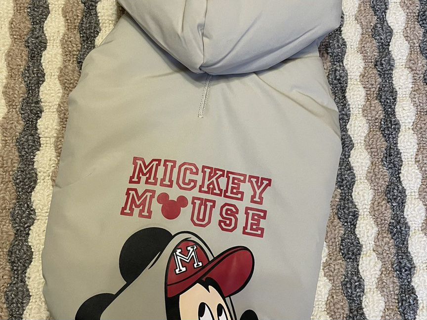 Куртка для животных