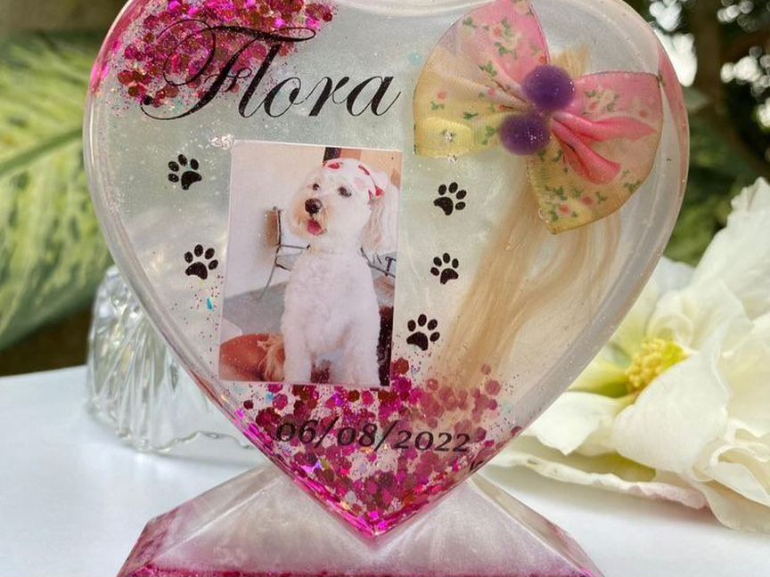 Рамка для питомцев