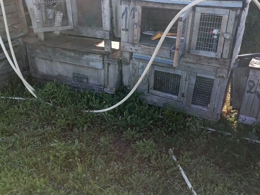 Кроличи клетки