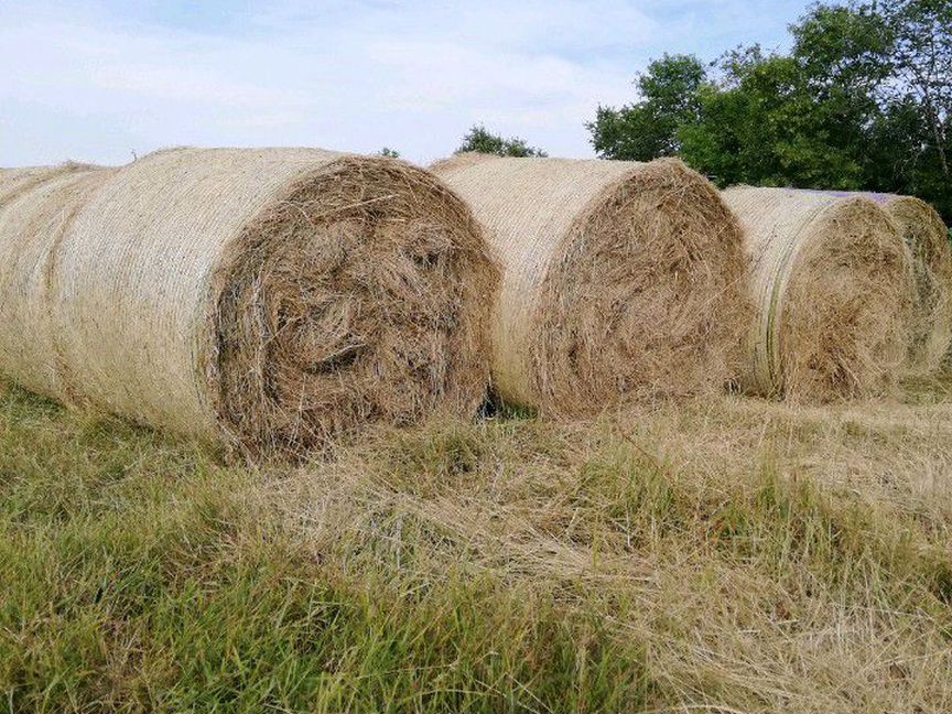 Сено, солома пшеничная, солома ячменная