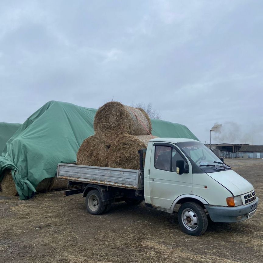 Продам сено в рулонах