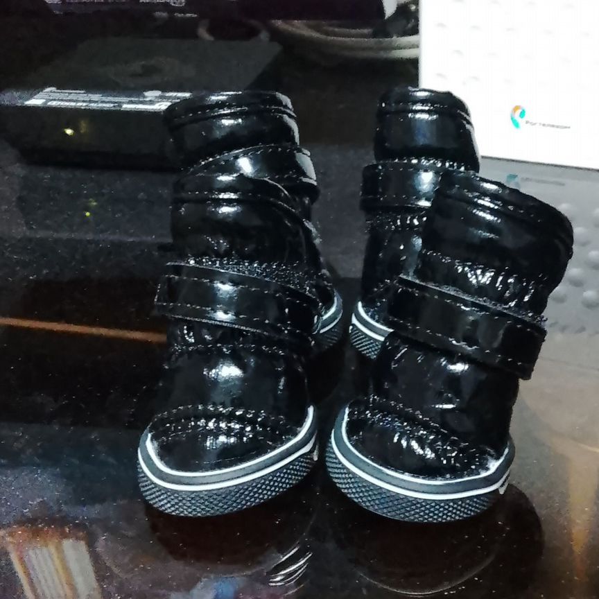 Обувь для маленьких собак