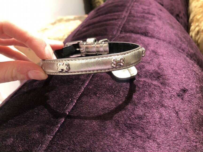 Серебристый ошейник