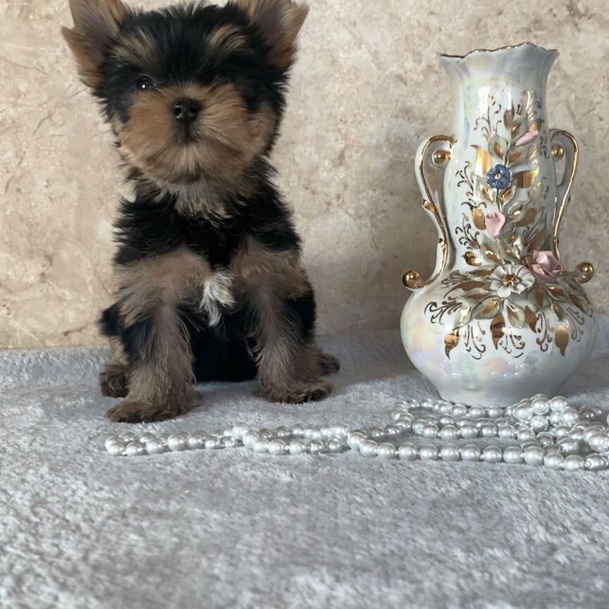 Очень красивый мальчик