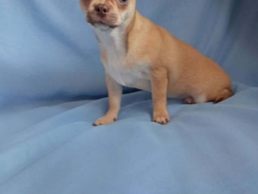 Мальчики и девочки. Документы