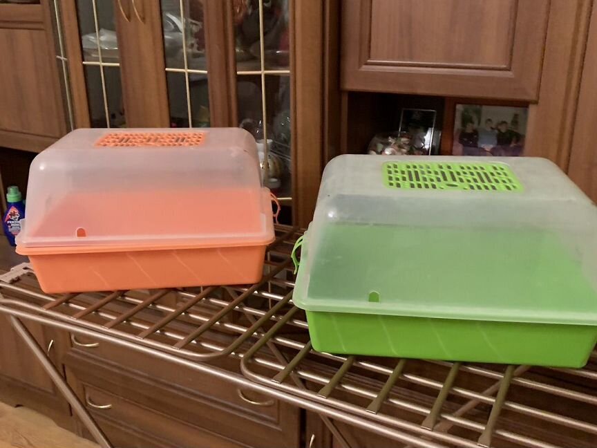 Террариум для улиток, черепах