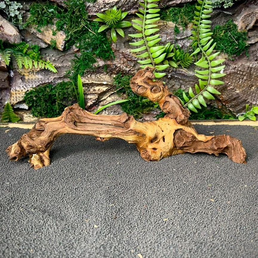 Коралловое дерево/Coral Wood кд1165