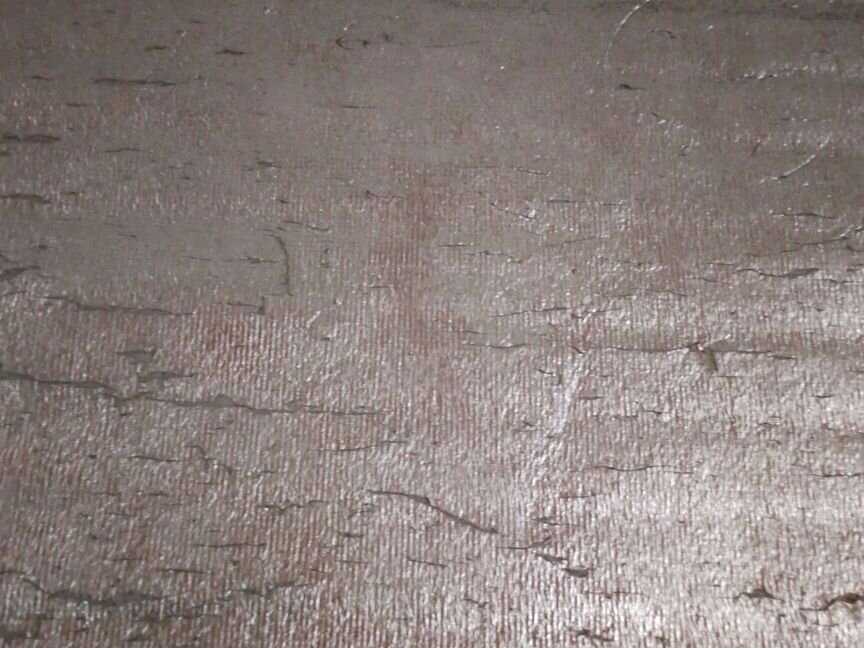 Щенки помесь шарпея