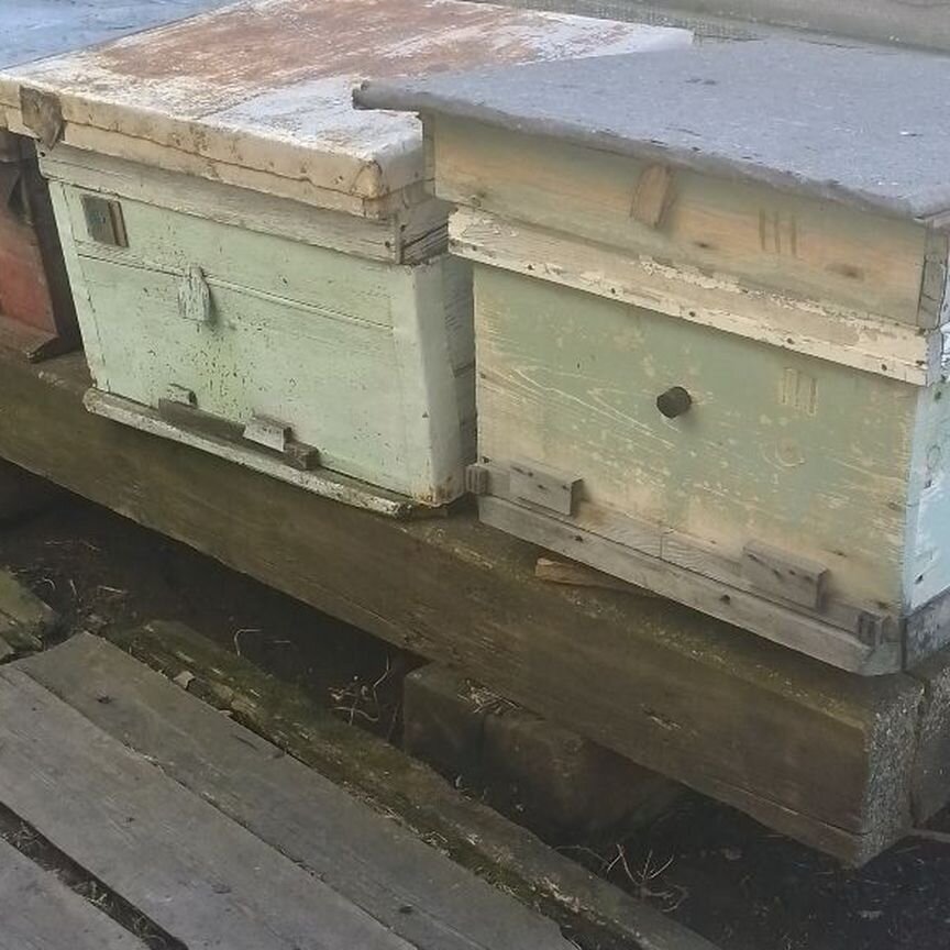 Улики для пчел бу