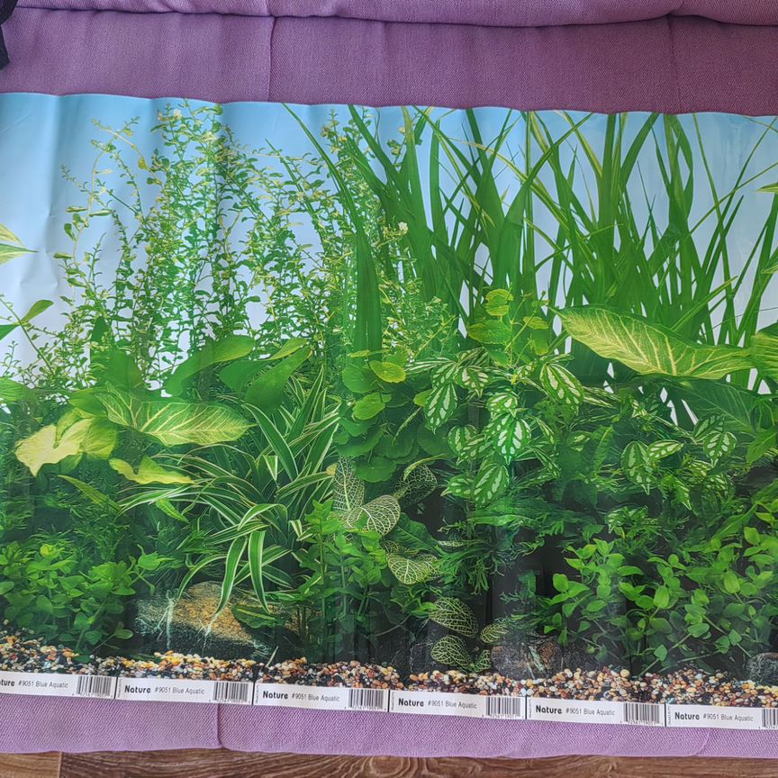 Картинка для аквариума