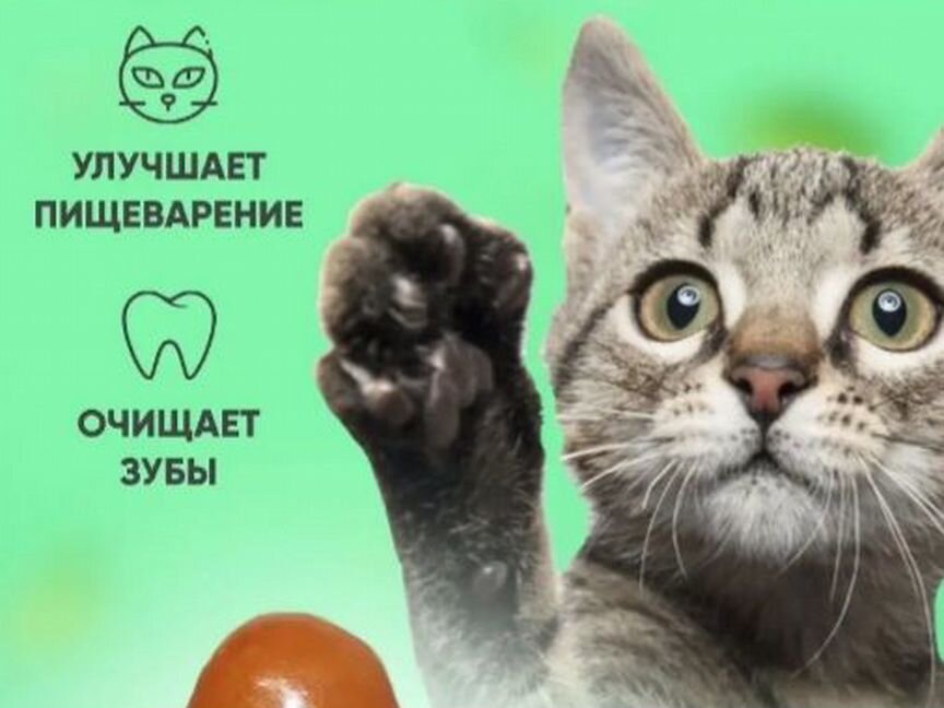 Леденец для кошек