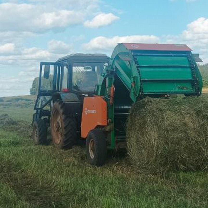 Продам сено в рулонах
