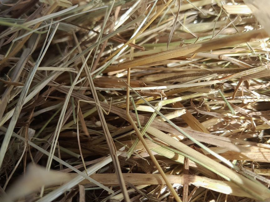 Сено в мешках