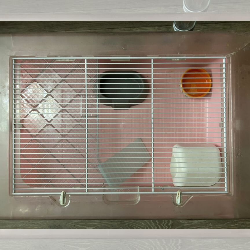 Большая клетка для хомяков