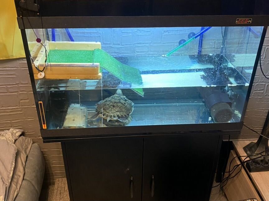 Аквариум с тумбой и черепахой