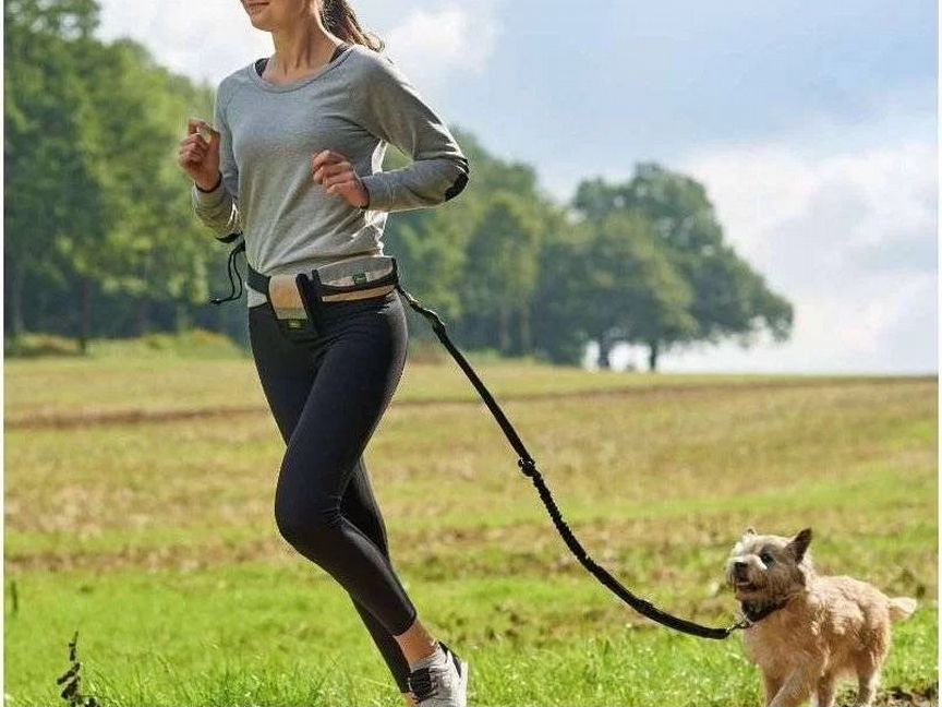 Пояс для пробежек с собакой hunter