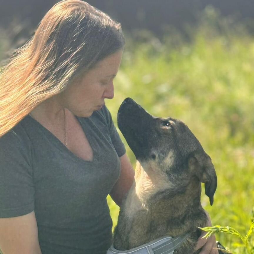 Собака в добрые руки отдам бесплатно