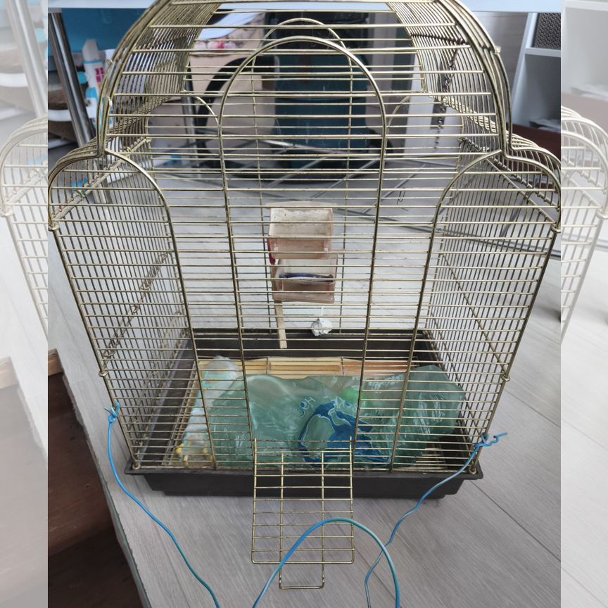 Клетка для попугаев и домик для шиншиллы