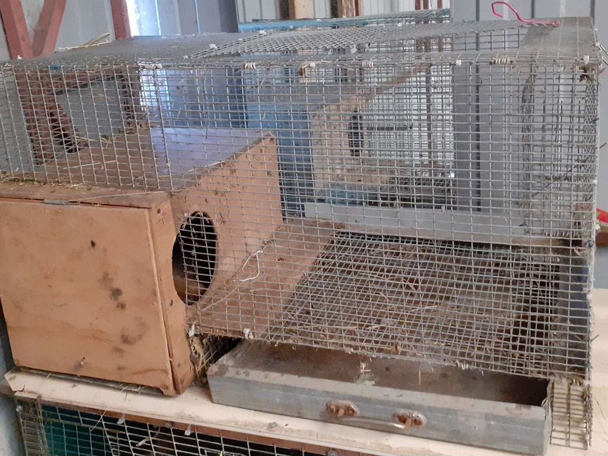 Клетки, переноски для кроликов