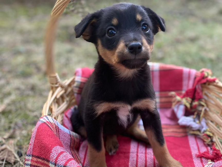 Девочка от маленькой мамы