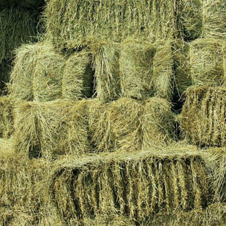 Продается сено