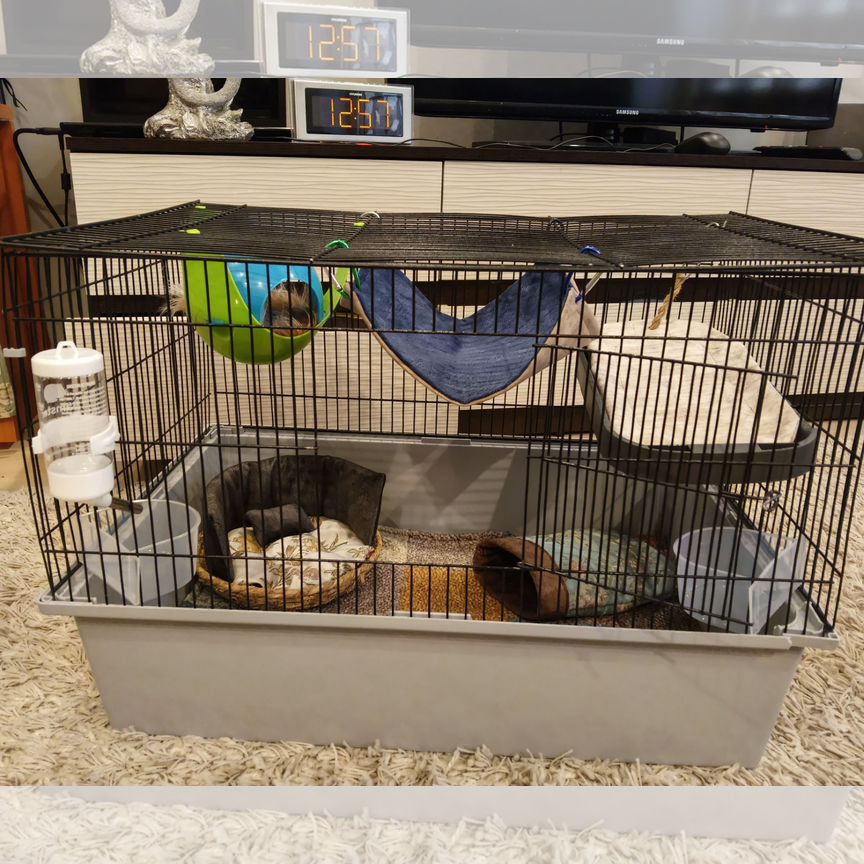 Клетка для грызунов