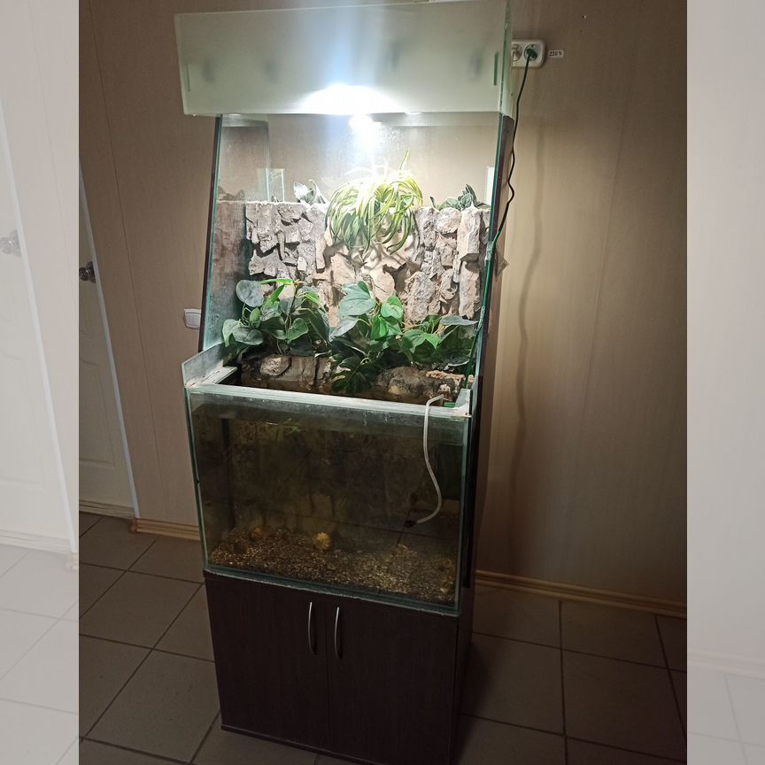 Аквариум