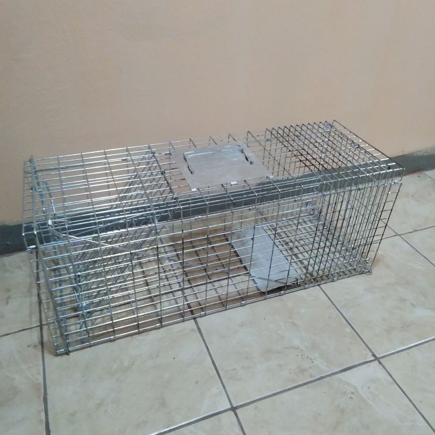 Ловушка для кошек