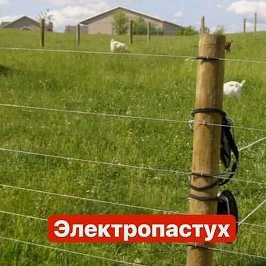 Электропастух для молочных крс