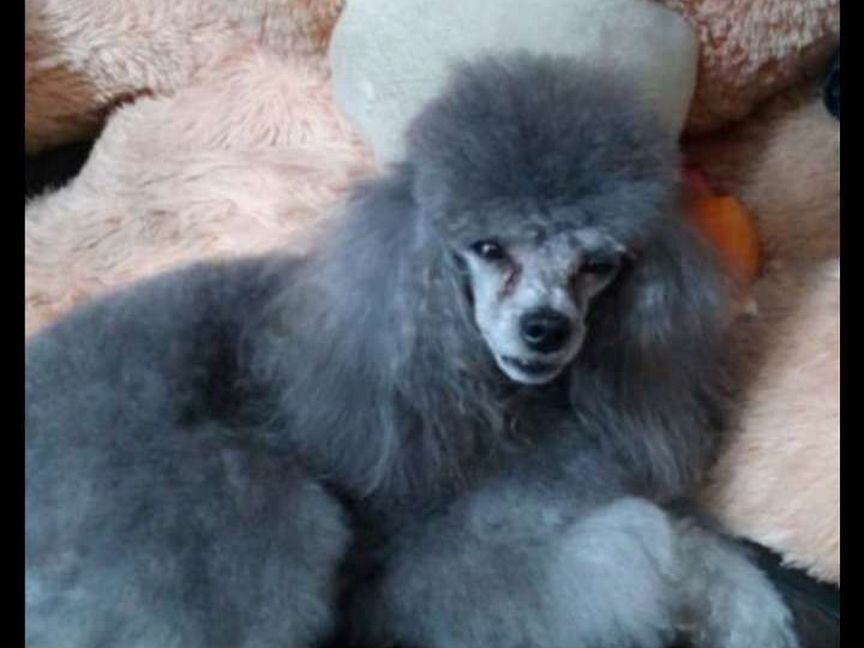 Вязка