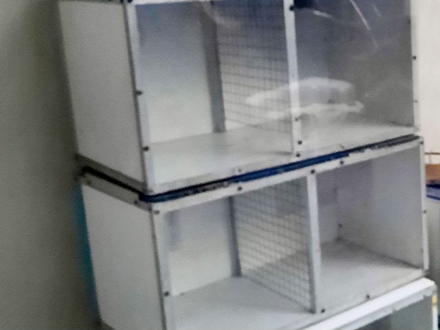 Витрина ящик клетка вольер для животных