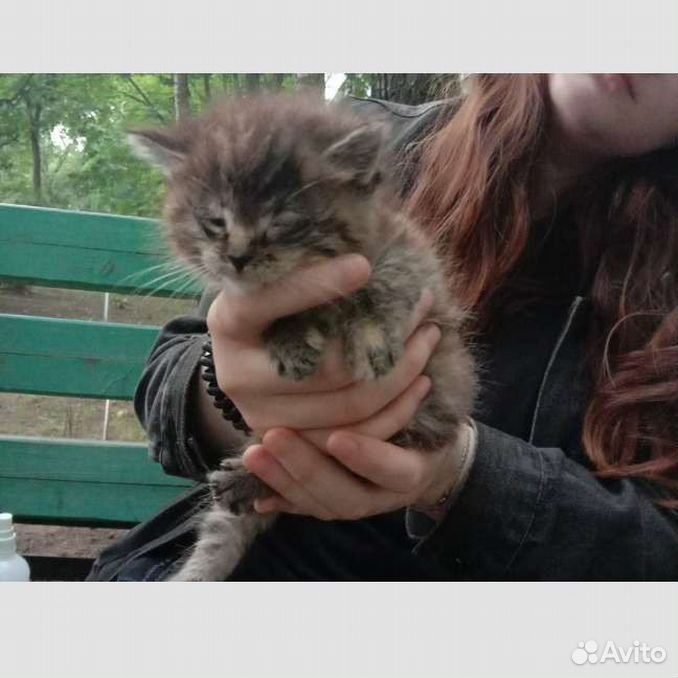 Спасли этот комочек,взяли на пару дней