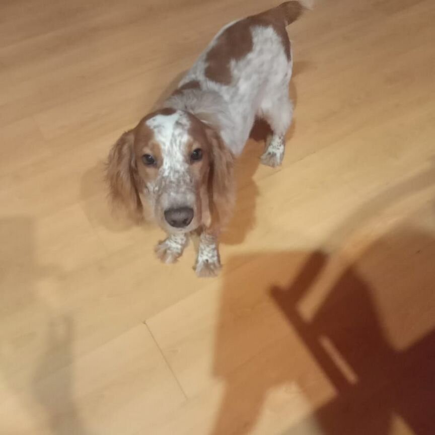 Мальчик, ищет Дом