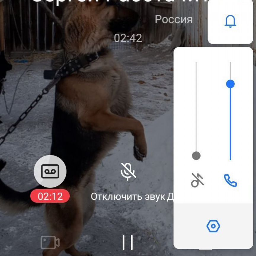 Отдам под охрану срочно овчарку
