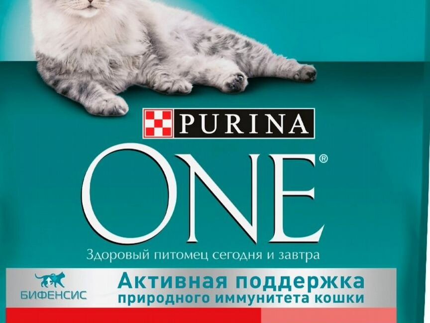 Корм для кошек purine one