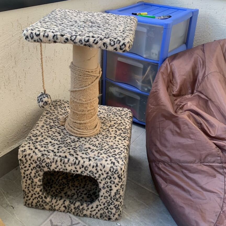 Когтеточка бу