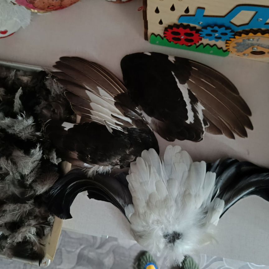 Продам перья
